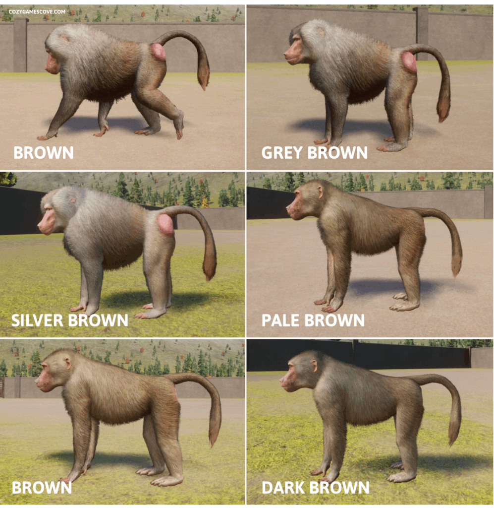 Every Animal Colour in Planet Zoo's Zookeepers Pack