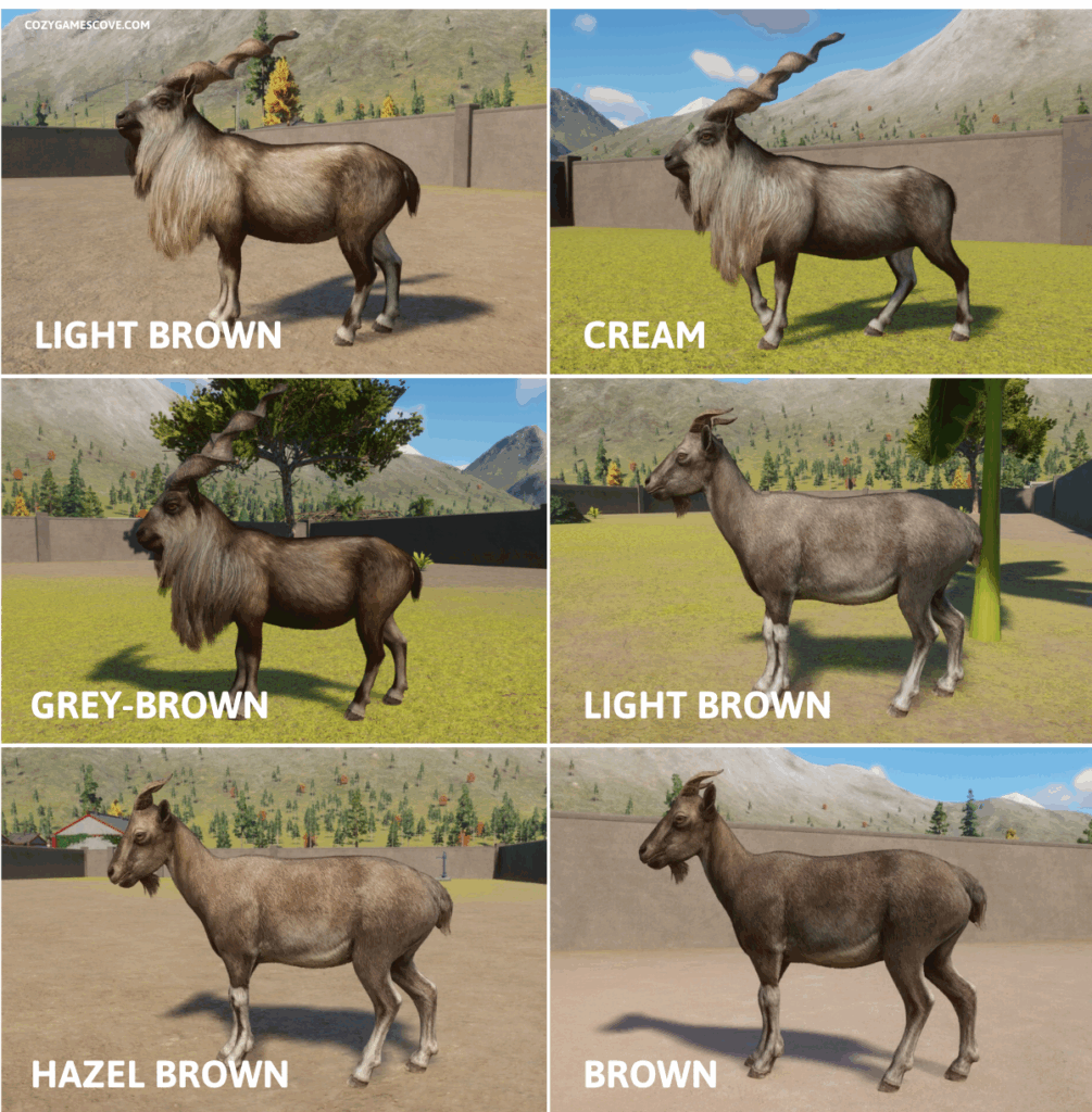 Every Animal Colour in Planet Zoo's Zookeepers Pack