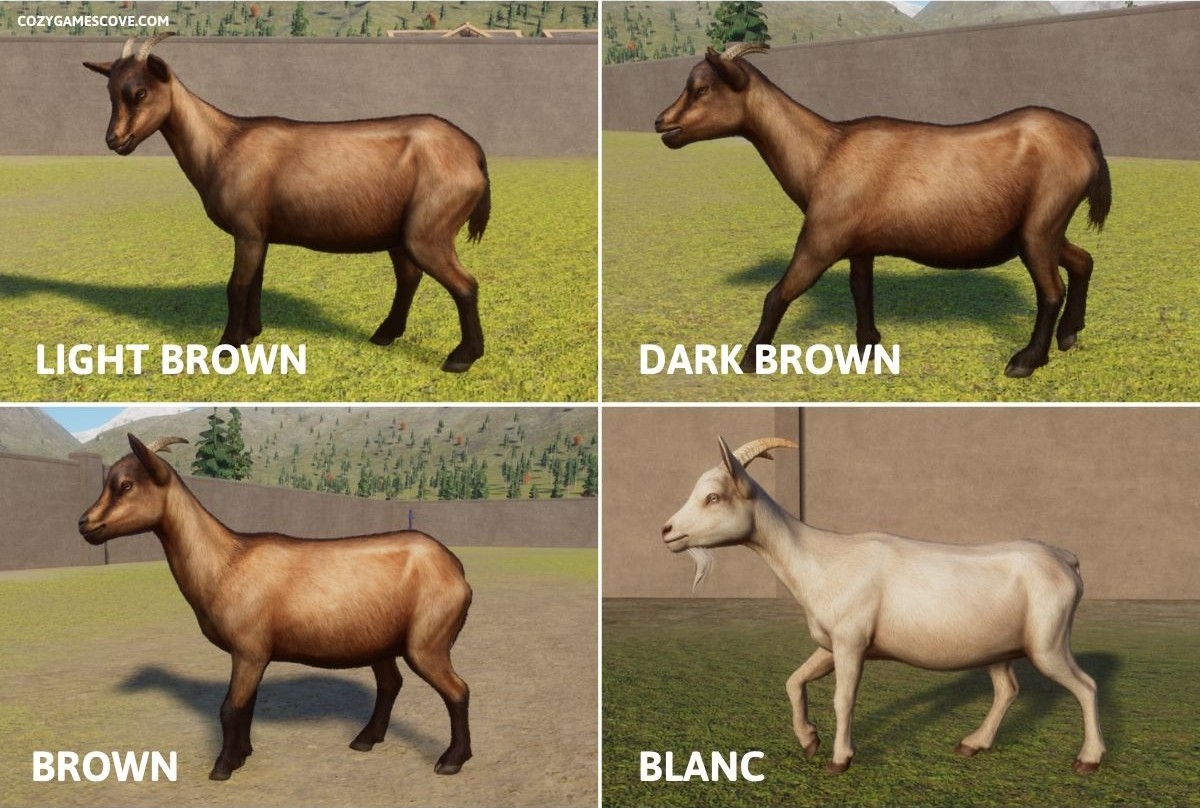 A Complete List of Animals & Colours in the Planet Zoo Barnyard Pack ...