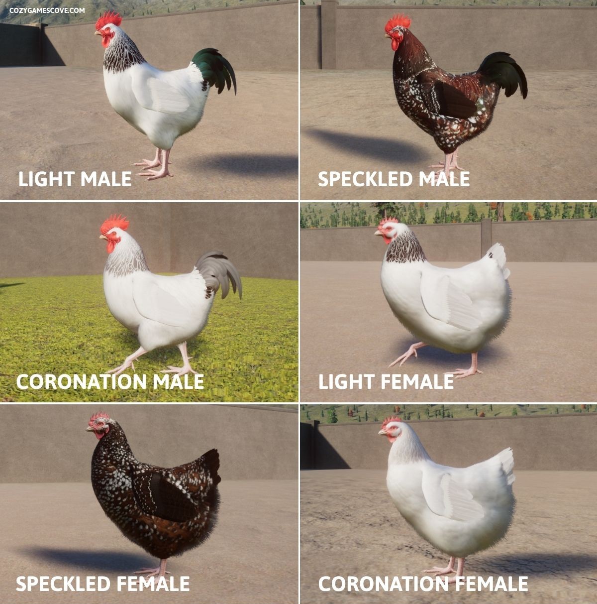 A Complete List of Animals & Colours in the Planet Zoo Barnyard Pack ...